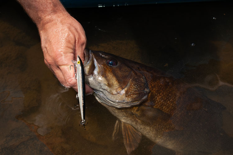 Fishing for Bass Tips: Landing a Great Catch - Grit